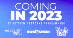 The ‘Power of Momentum’ Shared By Skyview | Radio & Television Business ...