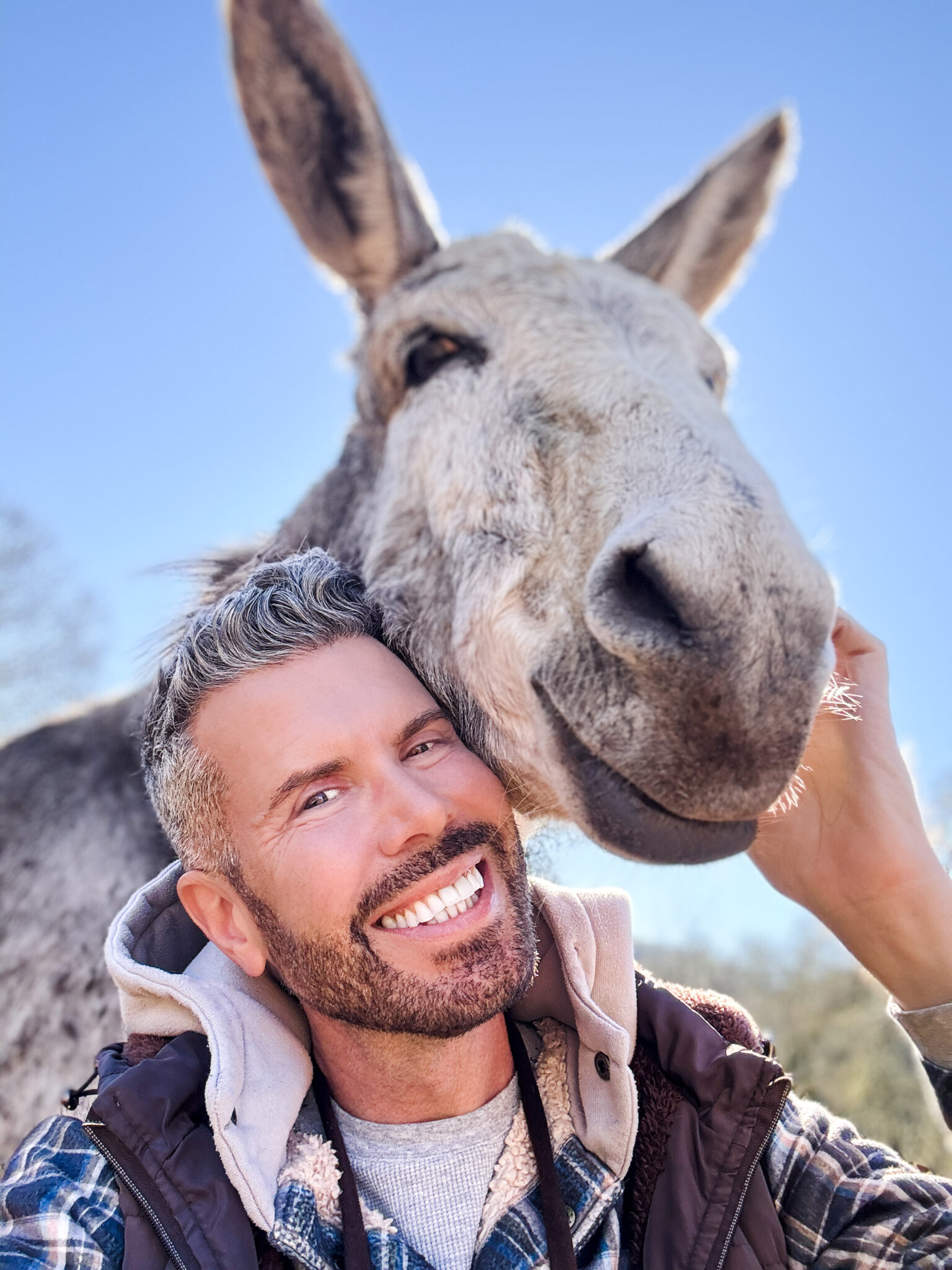 ‘Donkey King’ Coming To ABC, Thanks to Hearst | Radio & Television ...